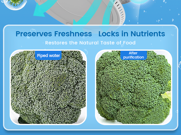 5 Unexpected Uses for Your Ozone Food Purifier – Powerscale